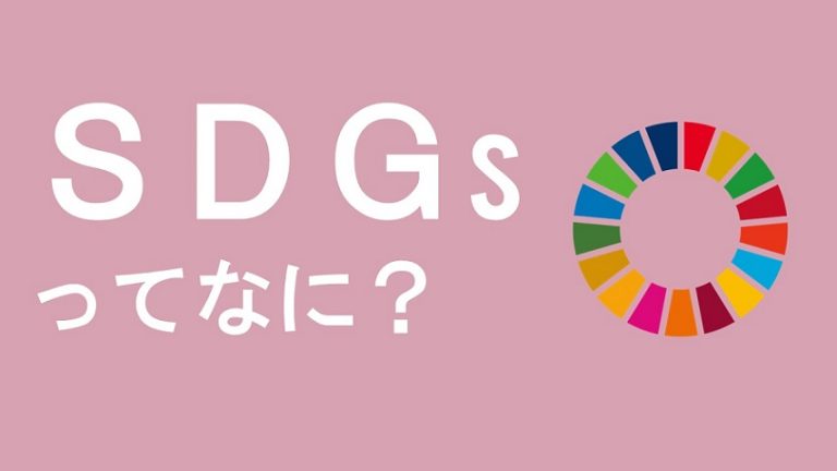 【第8回】SDGsってなんだ？～SDGs17目標紹介～10、11 - SDGsでちょっとやさしいをカタチに